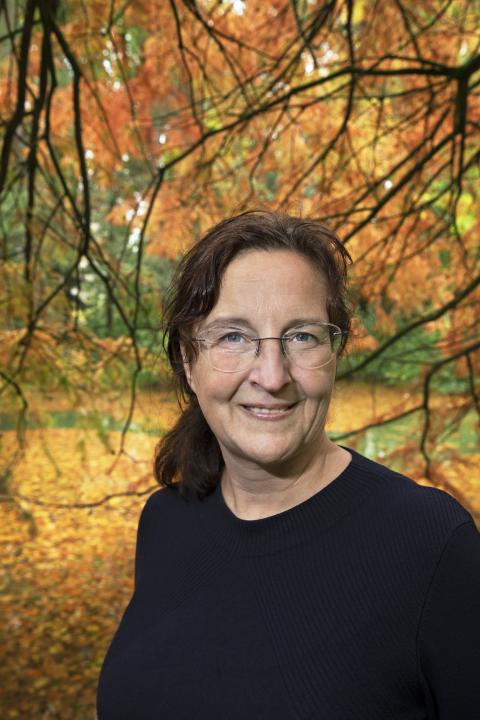 Evidence based HRM: kritische reflectie op praktische besluitvorming ...